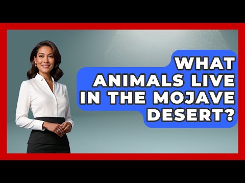 What Animals Live In The Mojave Desert? - The Geography Atlas