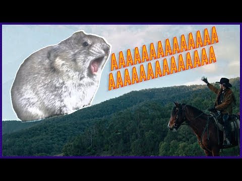 Steam Community :: Video :: Big Enough Screaming Mouse Meme