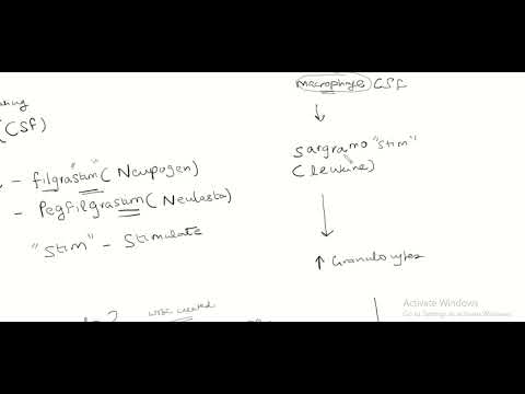Immune System: 1 – Growth Factor