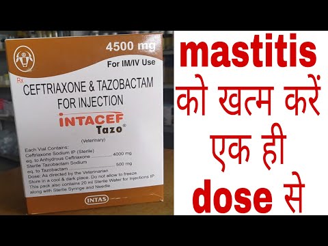Ceftriaxone Injection, Ceftriaxone Sodium Injection : View Uses, Side ...