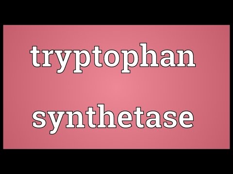 Tryptophan synthetase Meaning