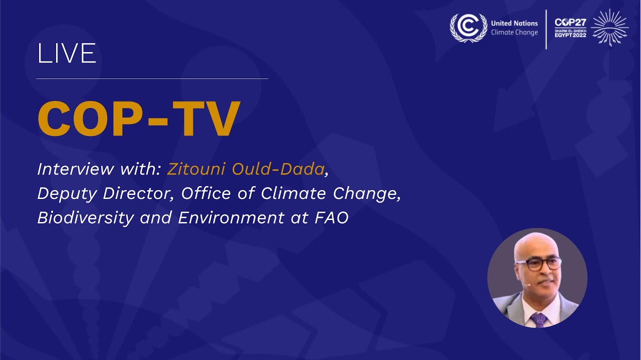 🔴 Live from #COP27: Interview with Zitouni Ould-Dada, Deputy Director Climate Office FAO