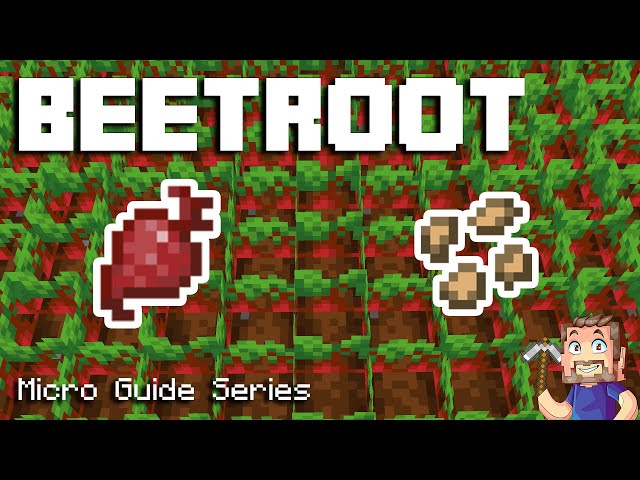Top 5 uses of beetroot in Minecraft Java Edition