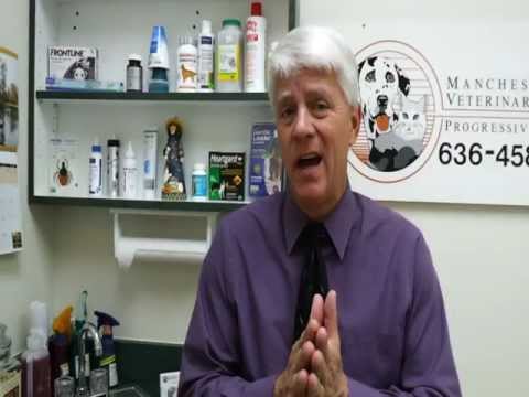 Pet Tips - Anti-Inflammatory Drugs