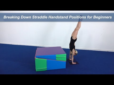 press handstand positions – Gymnastics Coaching.com