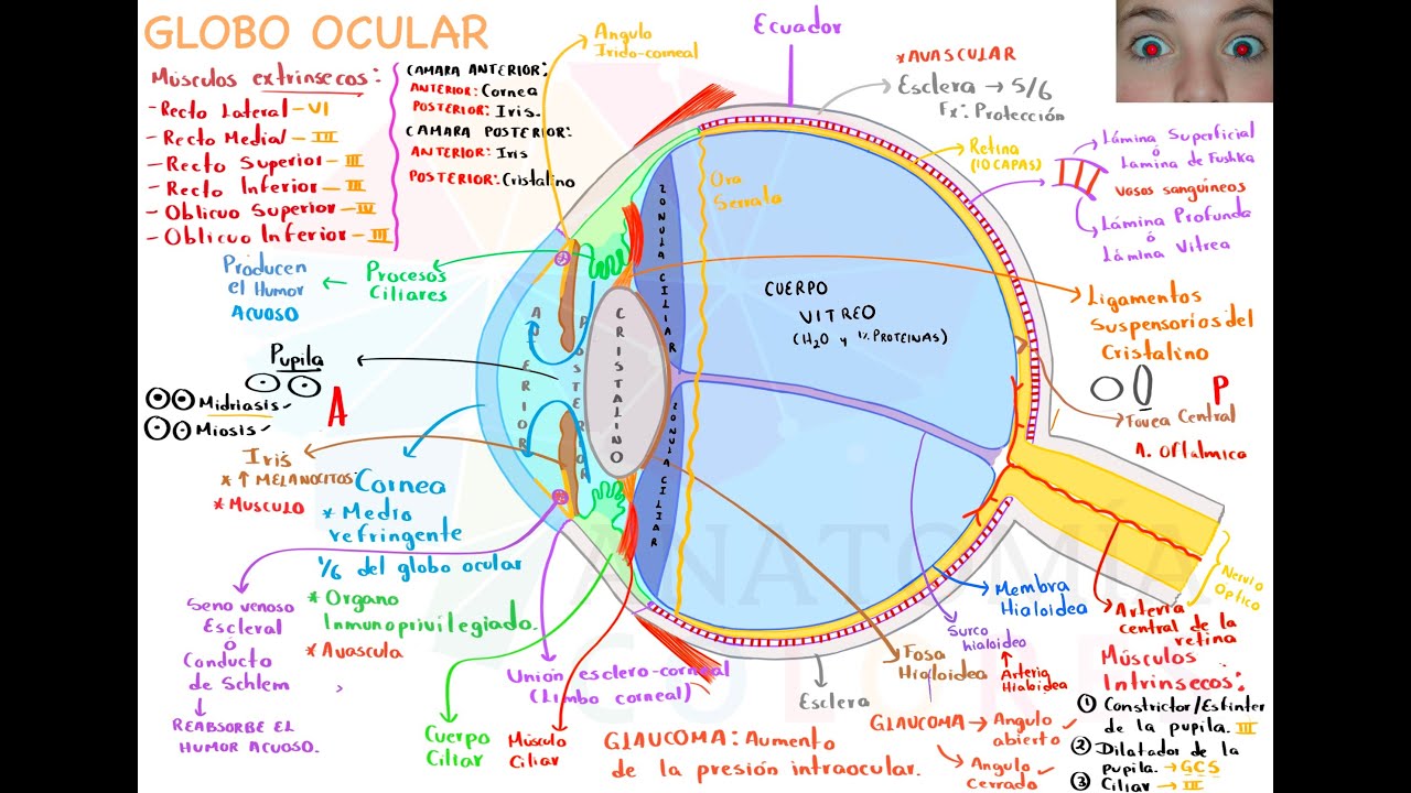 Ojo parte-I