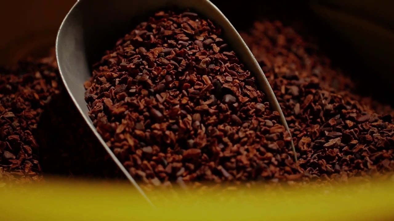 transformation de fève en chocolat by Mixtah