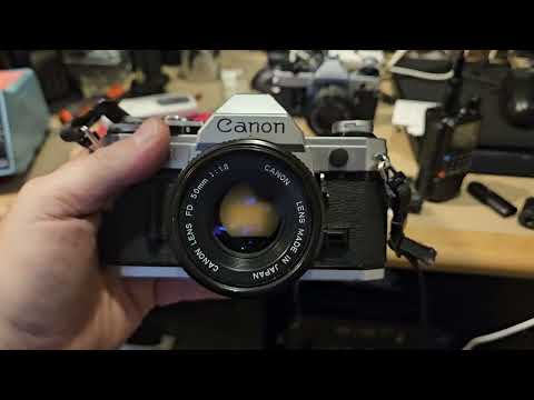 Canon AE-1 Program thriftstore test out