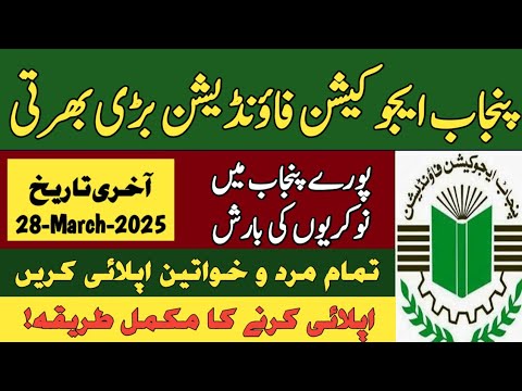 Punjab Education Foundation Jobs 2025 | How to Apply for PEF Jobs | Government Jobs 2025