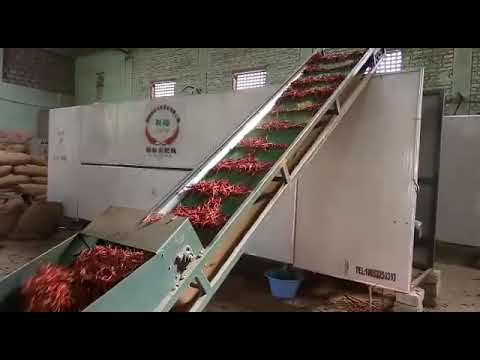 Chilli Cutting Machine - Chilli Cutting Machinery Latest Price ...