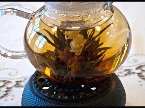 CPCC Culinary Club Tea Social