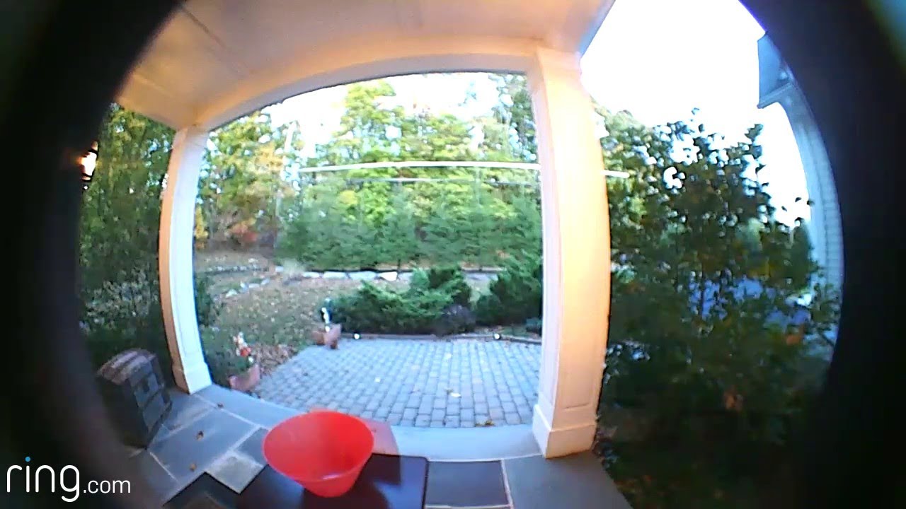 No Kids? No Problem. Just take all the Candy. || ViralHog