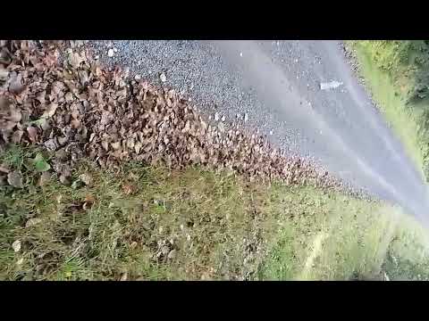 2 drano bombs (big boom)