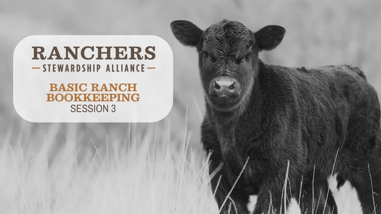2023 BASIC RANCH BOOKKEEPING - SESSION 3