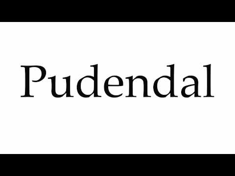 How to Pronounce Pudendal