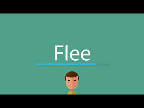 Flee pronunciation