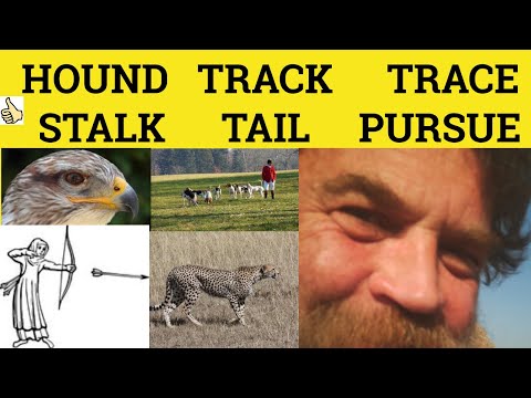 🔵 Pursue Stalk Tail Track Trace Hound - Meaning and Examples - Pursue Stalk Tail Track Trace Hound