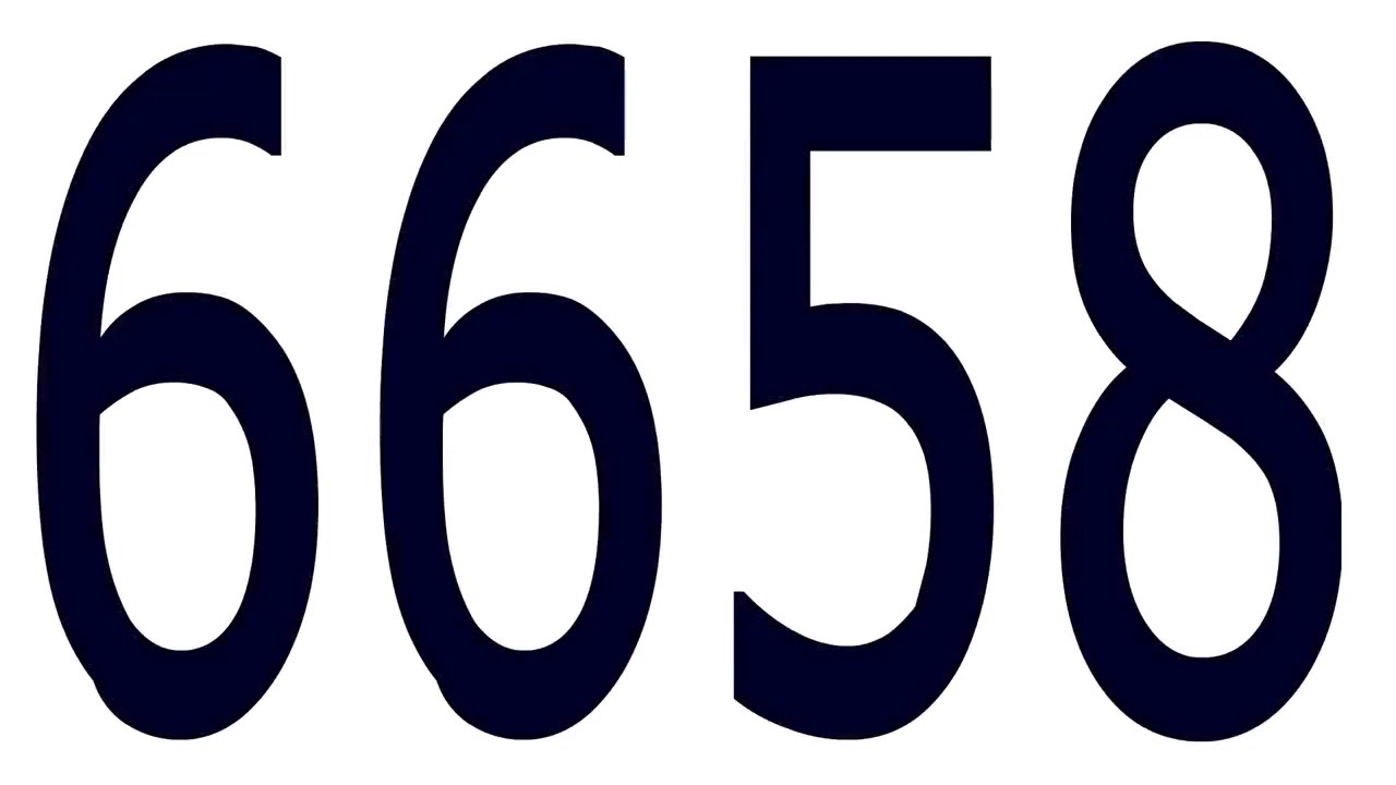 6658