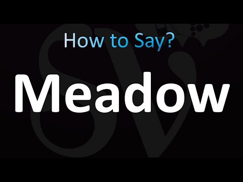 How to Pronounce Meadow (Correctly!)