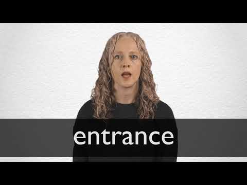 ENTRANCE definition in American English | Collins English Dictionary