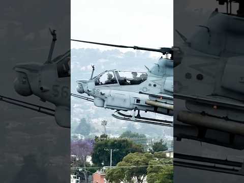 The President sent Marines to LA to restore order. #USMC #Cobra