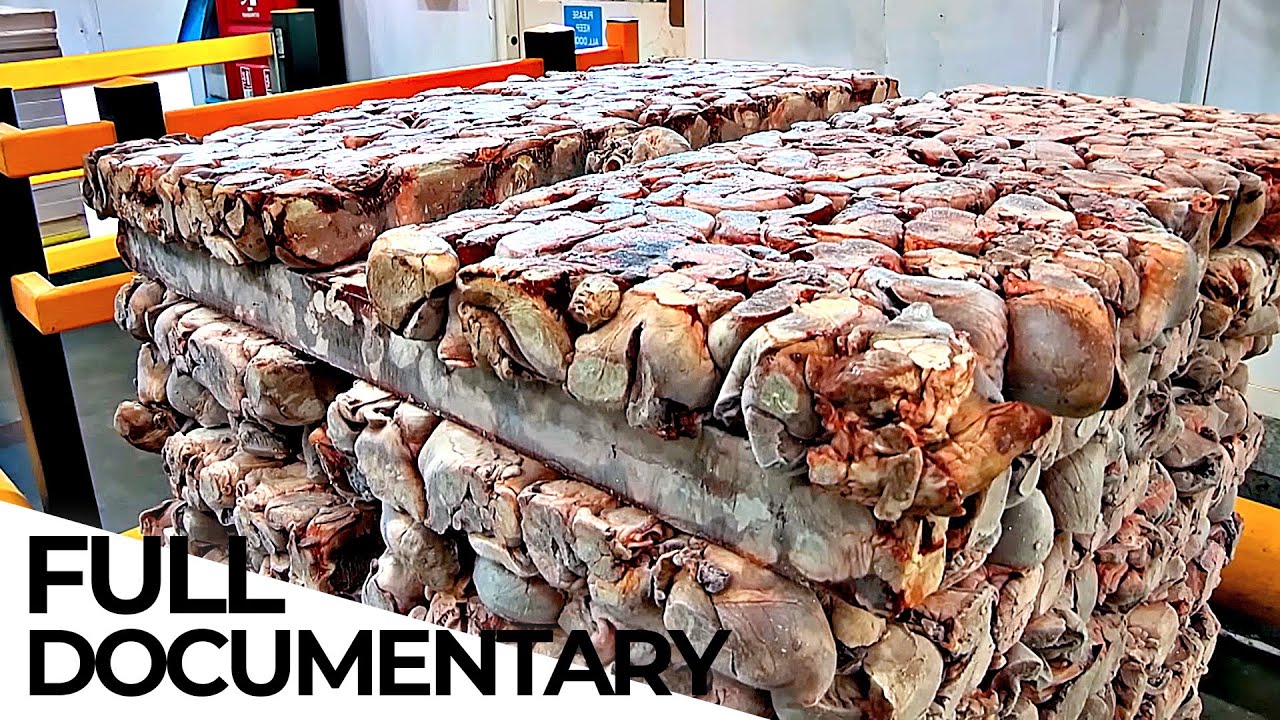 Inside The Pet Food Factory | ENDEVR Documentary