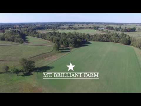 Mt. Brilliant Farm - Lexington, KY