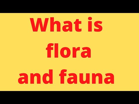 what is flora and fauna and how to remember|@alibaba| #shorts