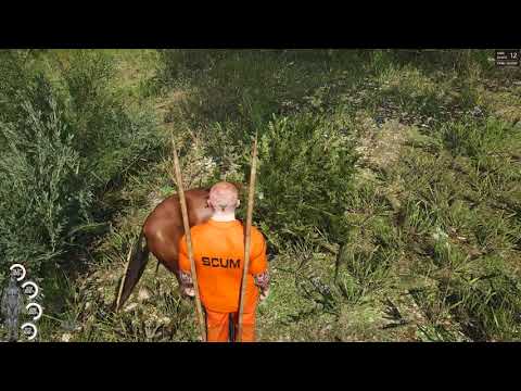 Steam Community :: Video :: SCUM This horse ran forever with a spear in ...