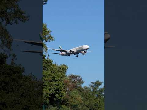 Emirates Airlines Boeing777 Landing at Frankfurt airport #short #Takeoff #viral #new #video