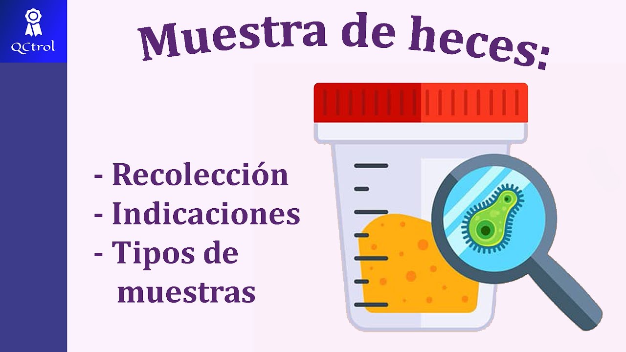 Idevice Copro La Enciclopedia Libre Enciclopedia De La Literatura 1 ...