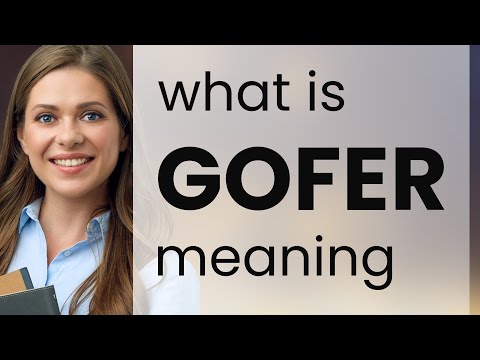 Gofer | what is GOFER definition