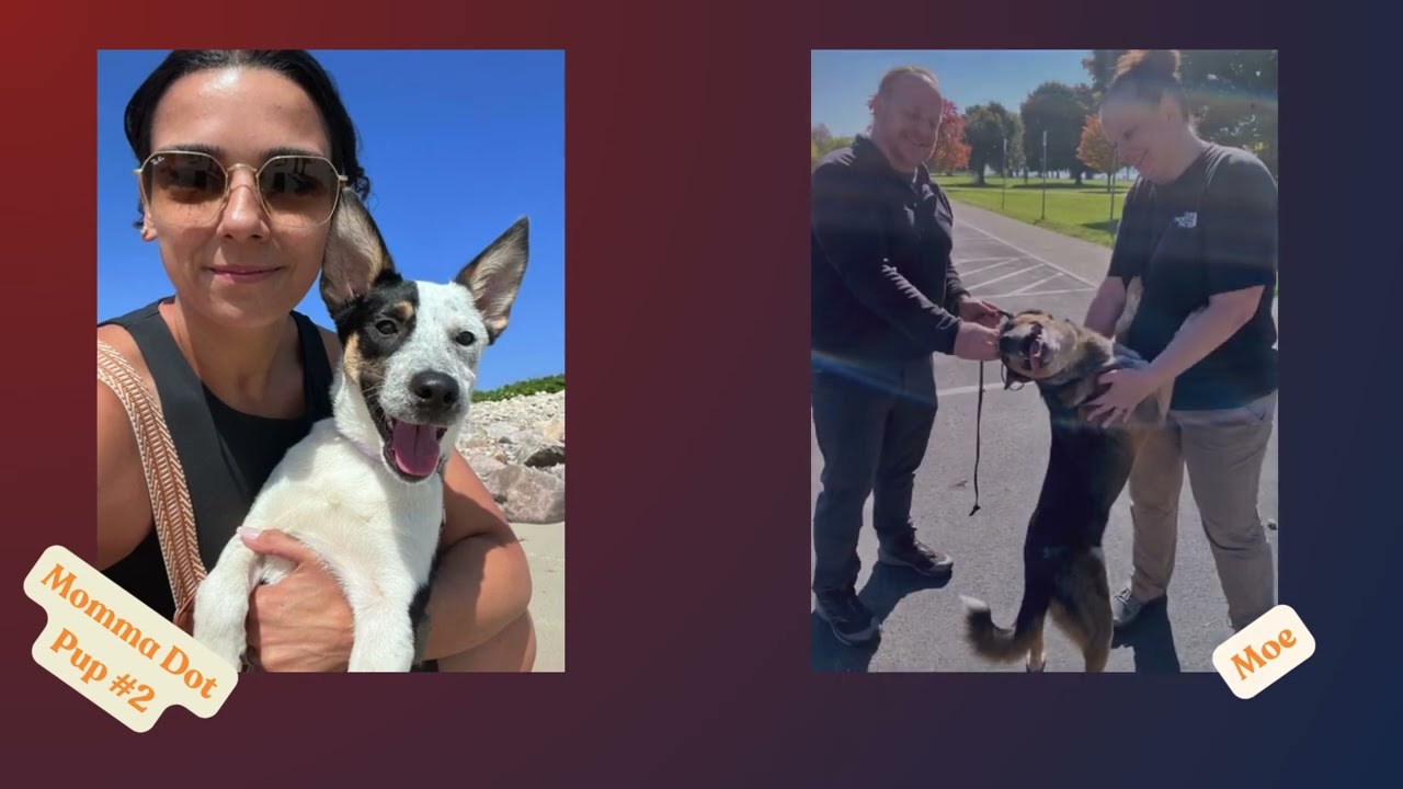 2024 ACDRA Adoptions