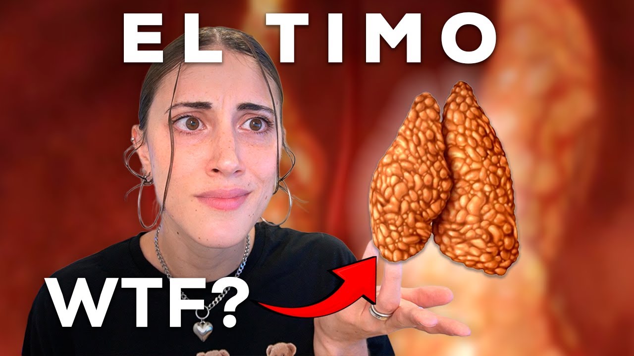 The THYMUS: the vital ORGAN for your SURVIVAL that NO ONE KNOWS