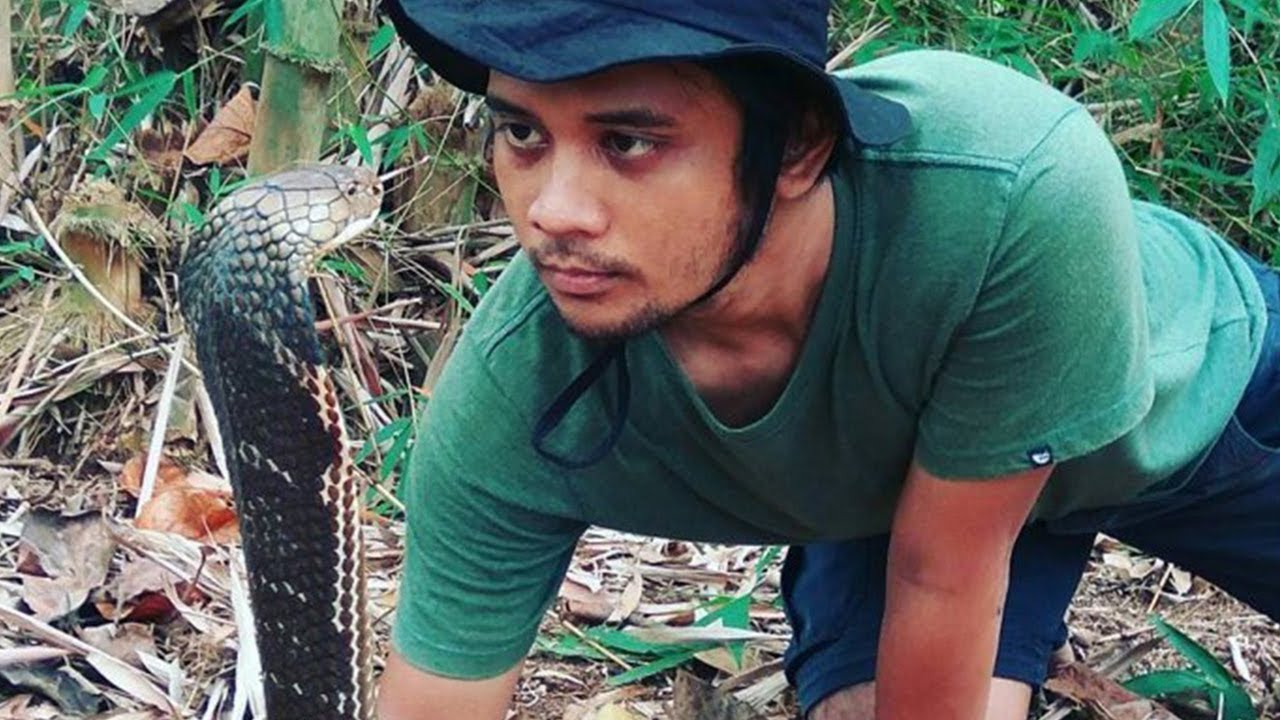 Panji Petualang Berikan Penjelasan Faktor Ular Piton Memangsa Manusia ...