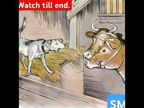 Dog in manger#dogsfacts Explained with meaning #hindi #riddles .#stories #storytime #animal