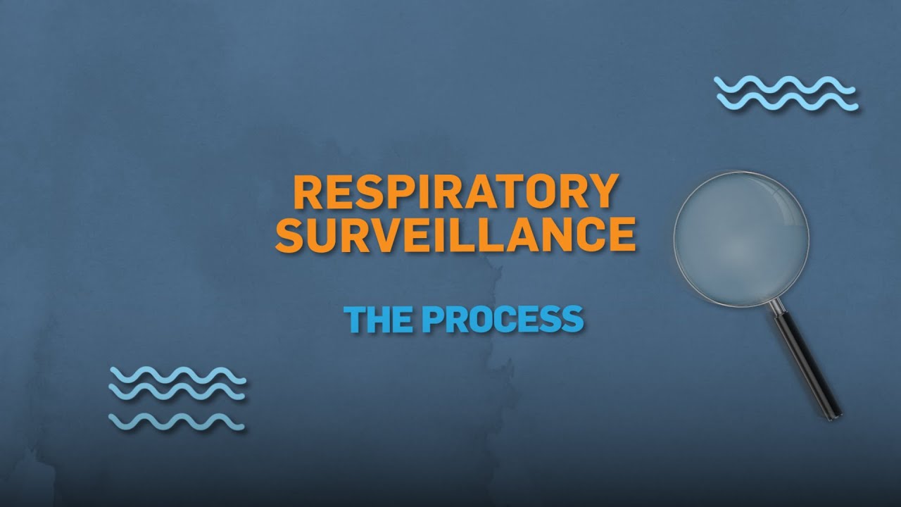 The Respiratory Virus Surveillance Programme: The Process