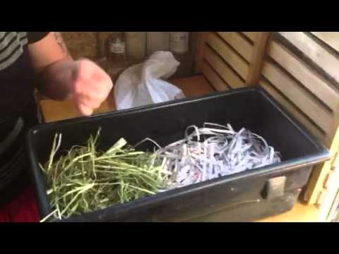 How to Prepare a Rabbit Nest Box :: video | Frühlingskabine Micro-Farm