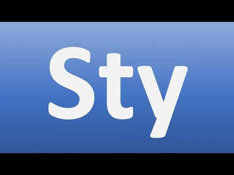 How to Pronounce Sty Pronunciation