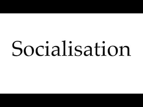 How to Pronounce Socialisation