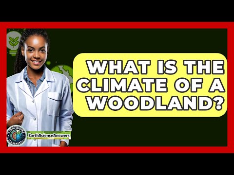 What Is The Climate Of A Woodland? - Earth Science Answers