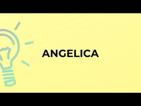 What is the meaning of the word ANGELICA?