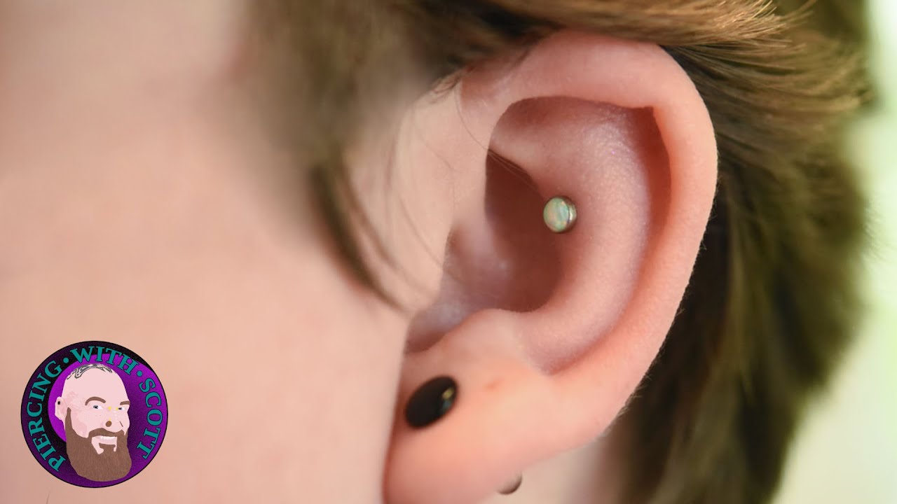 The Whole Truth - Snonch Piercing