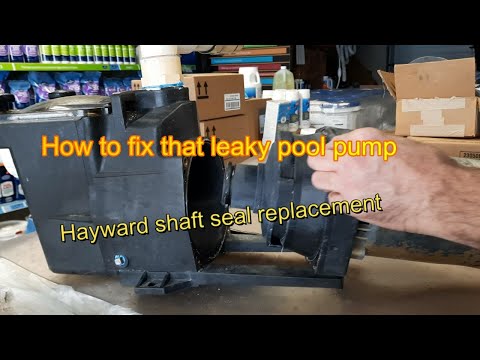 Hayward pool pump seal replacement: Hayward super pump shaft seal replacement: pump bottom leak fix