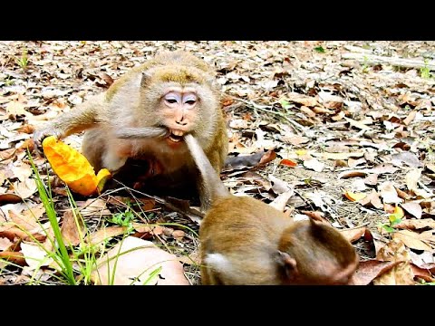 DON'T TOUCH MY FOOD...