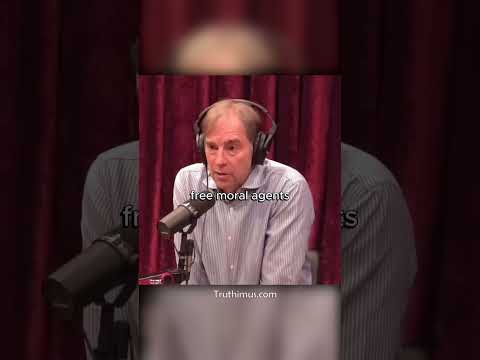 Free Will vs. Determinism | Joe Rogan & Stephen C. Meyer
