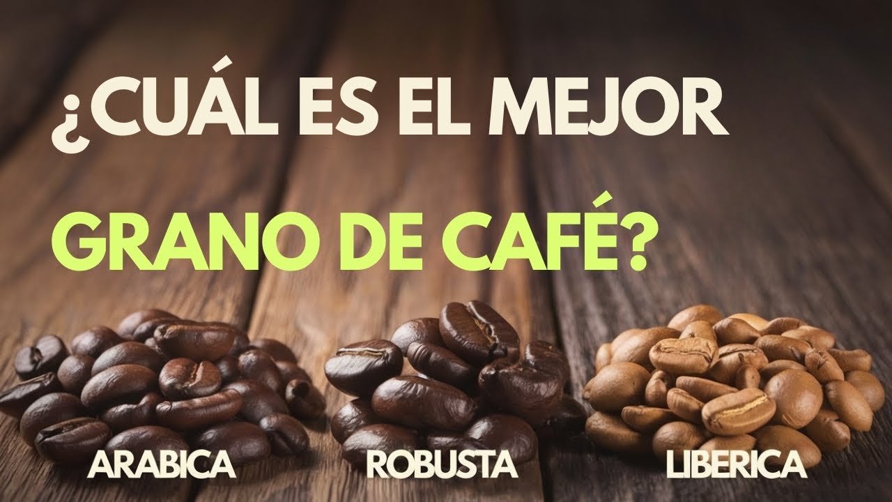 Arábica vs Robusta vs Liberica – Granos de Café Explicados