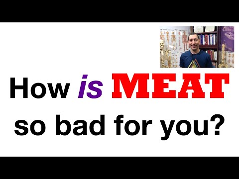 WHY IS MEAT SO BAD FOR YOU???
