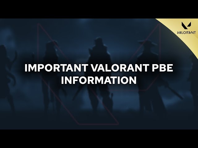 Valorant pbe server download - moonvse