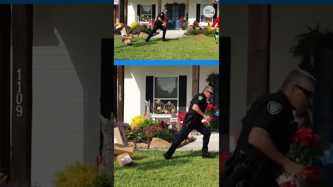Police fake arrest the Grinch to prevent holiday theft